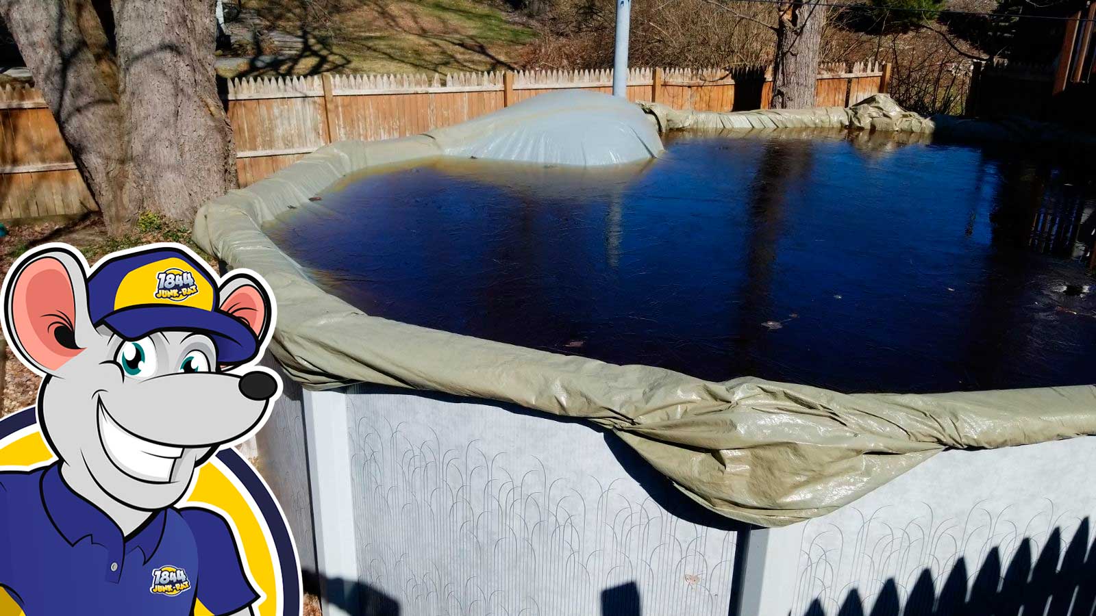 above-ground-pool-nj-1844-junk-rats | New Jersey Junk Removal